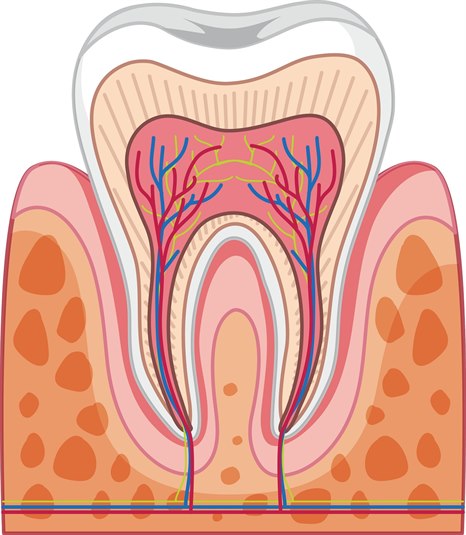 Tenner, illustrasjon - NHI.no